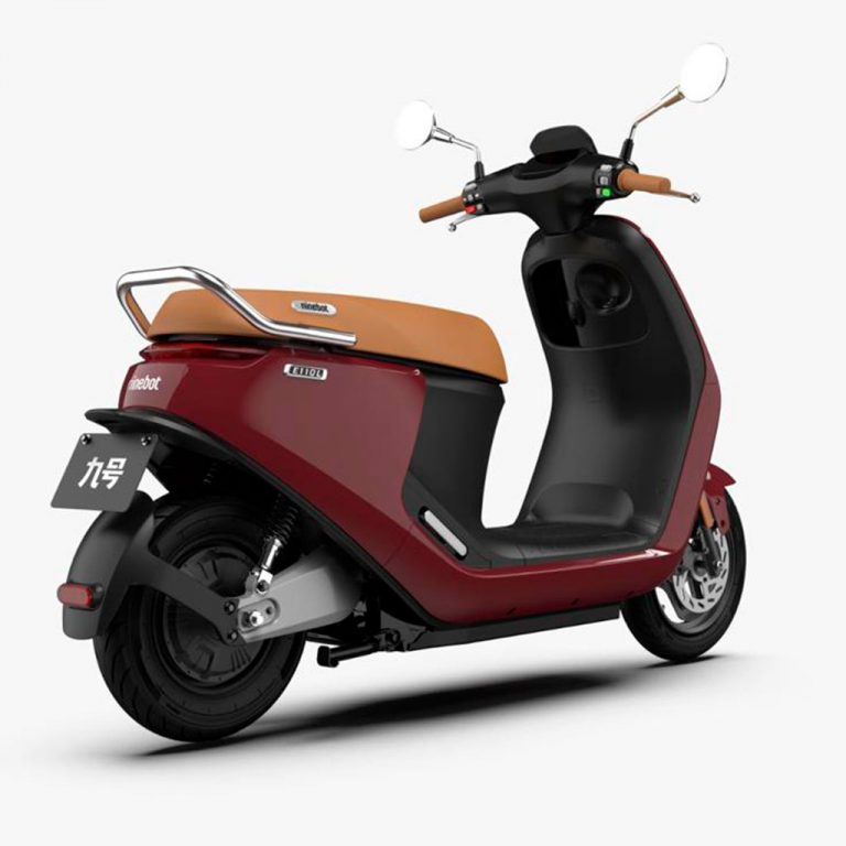 Bee Green Segway Ninebot E110L – Bee Green Bikes