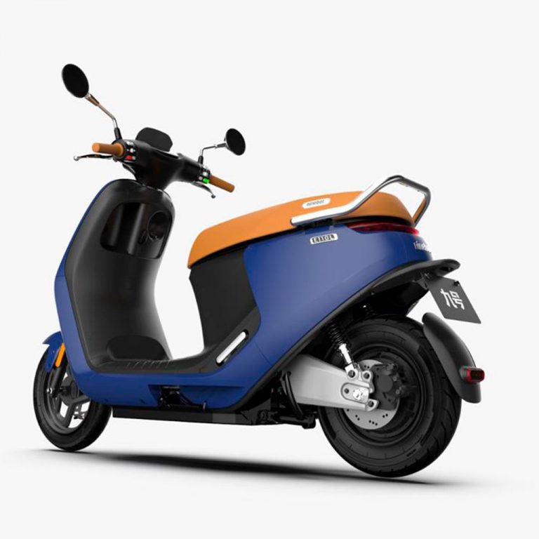 Bee Green Segway Ninebot E110L – Bee Green Bikes